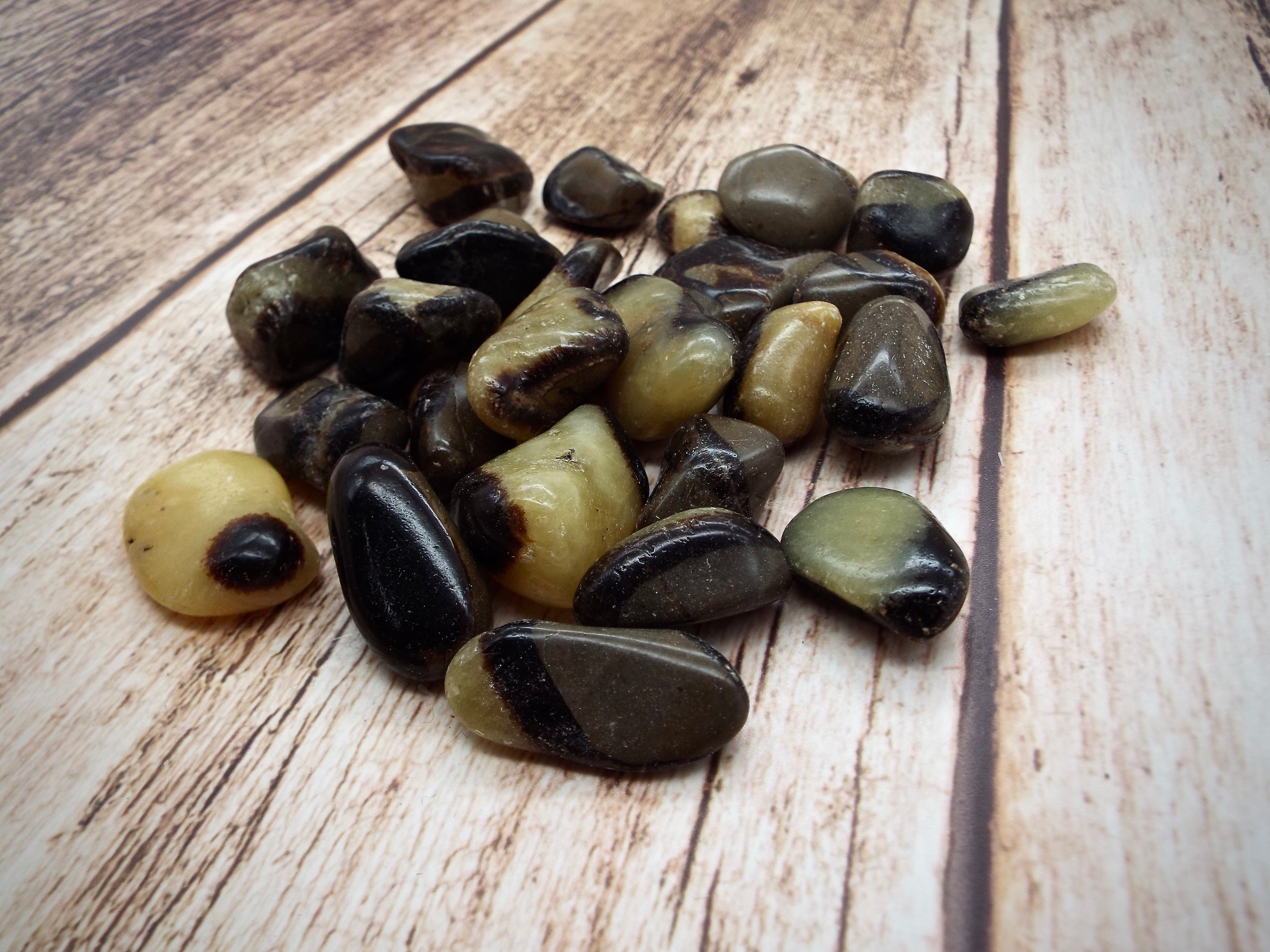 Septarian – Stoneage