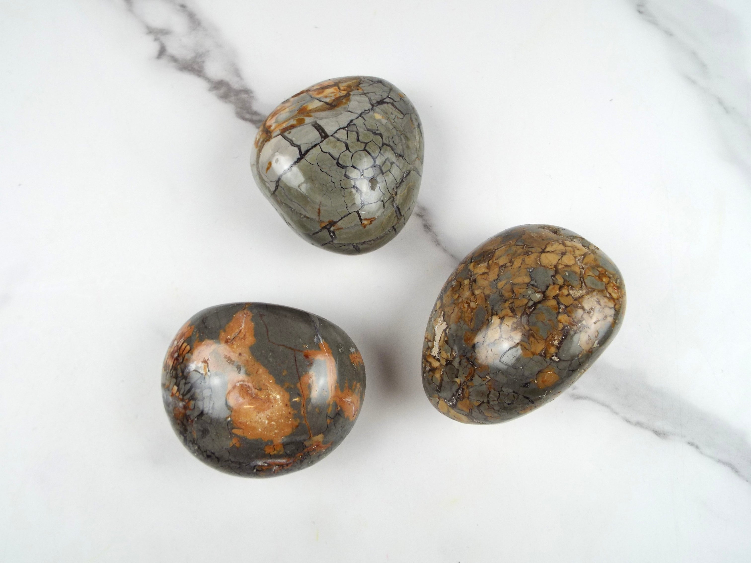 Ibis Jasper – Stoneage